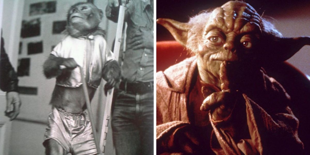 20 Secrets About Yoda Even Die-Hard Star Wars Fans Didn't Know About