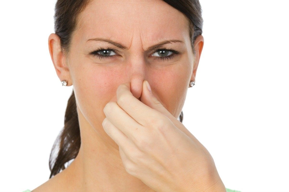 Amazon's New Show Will Be Like Love Is Blind — But For Smell?!