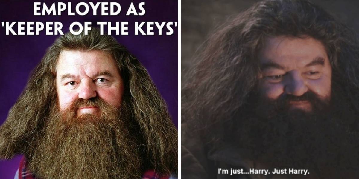 20 Hilarious Memes About Hagrid We Can't Stop Laughing At