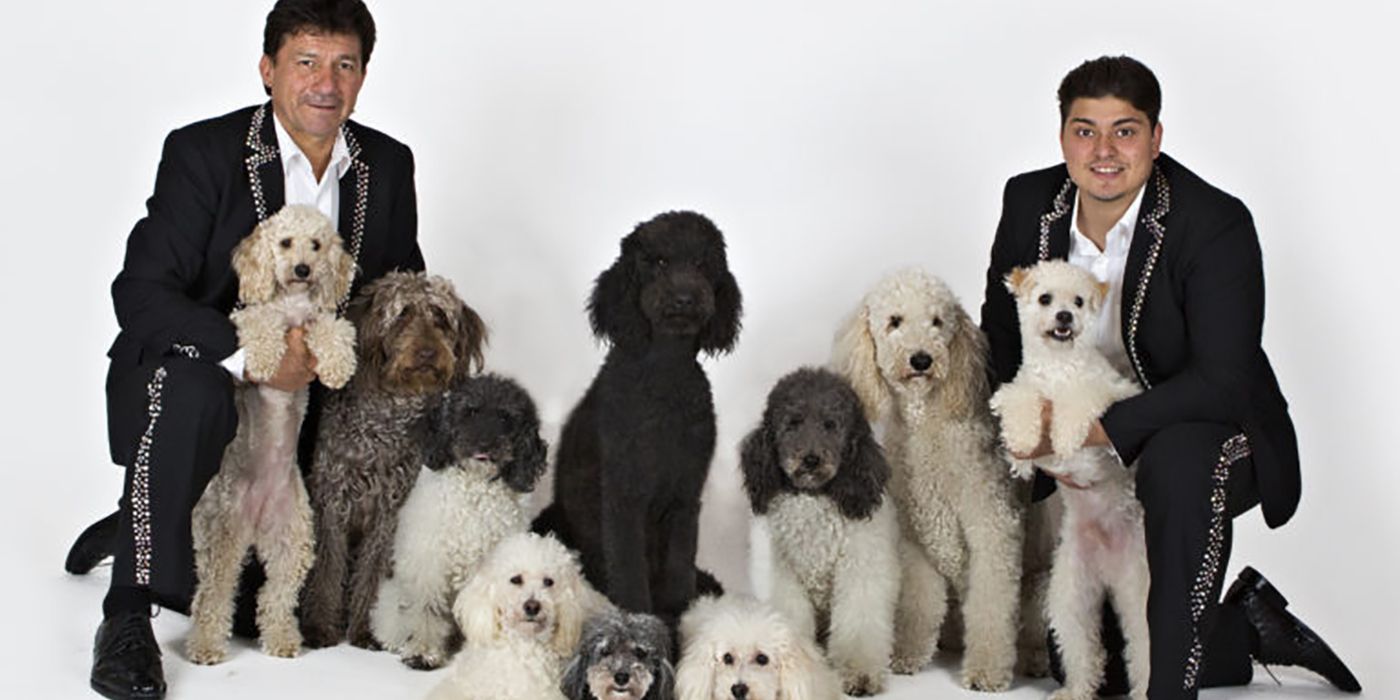 America's Got Talent: The First 10 Winners, Ranked By Net Worth