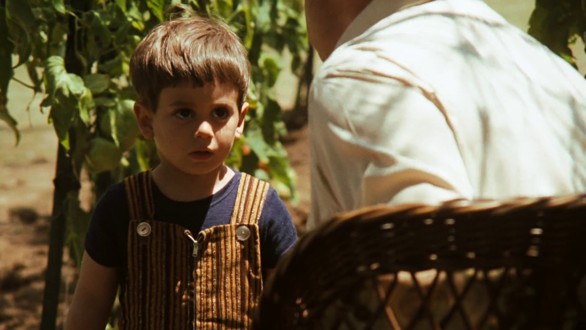 10 Facts About Al Pacino's Role In 'The Godfather'