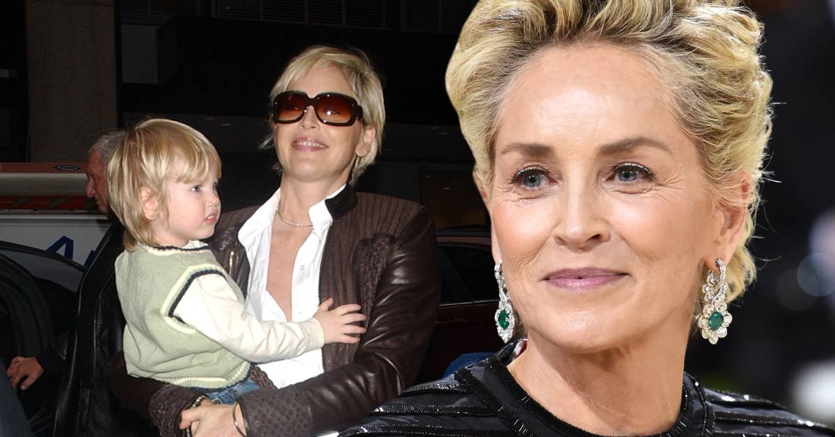 Did Sharon Stone's Brutal Custody Battle Loss Affect The Relationship ...