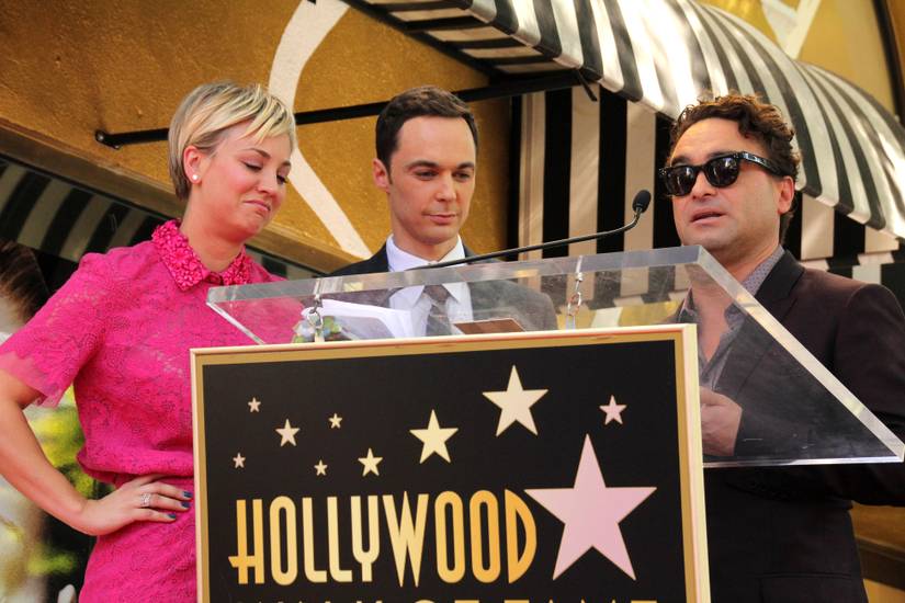 How Johnny Galecki Really Felt About Working With Aarti Mann On The Big ...