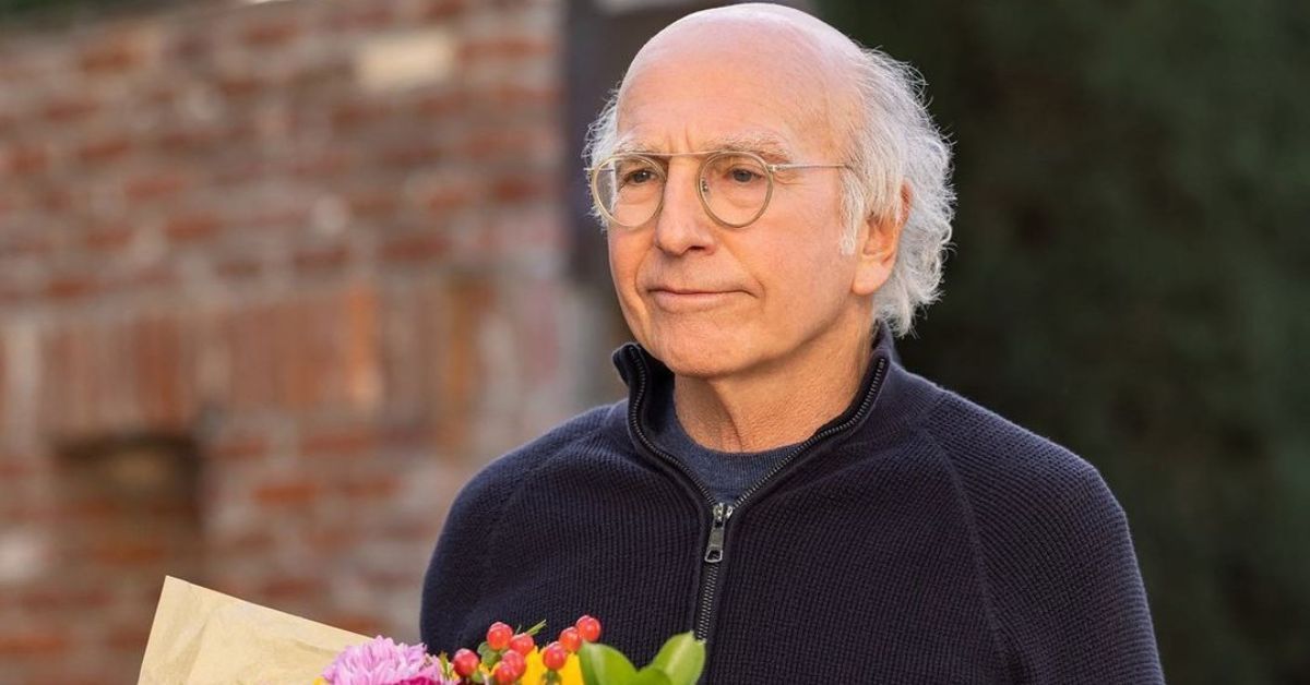 Despite Seinfeld's Success, Larry David's Sour Grapes Was A Box Office ...