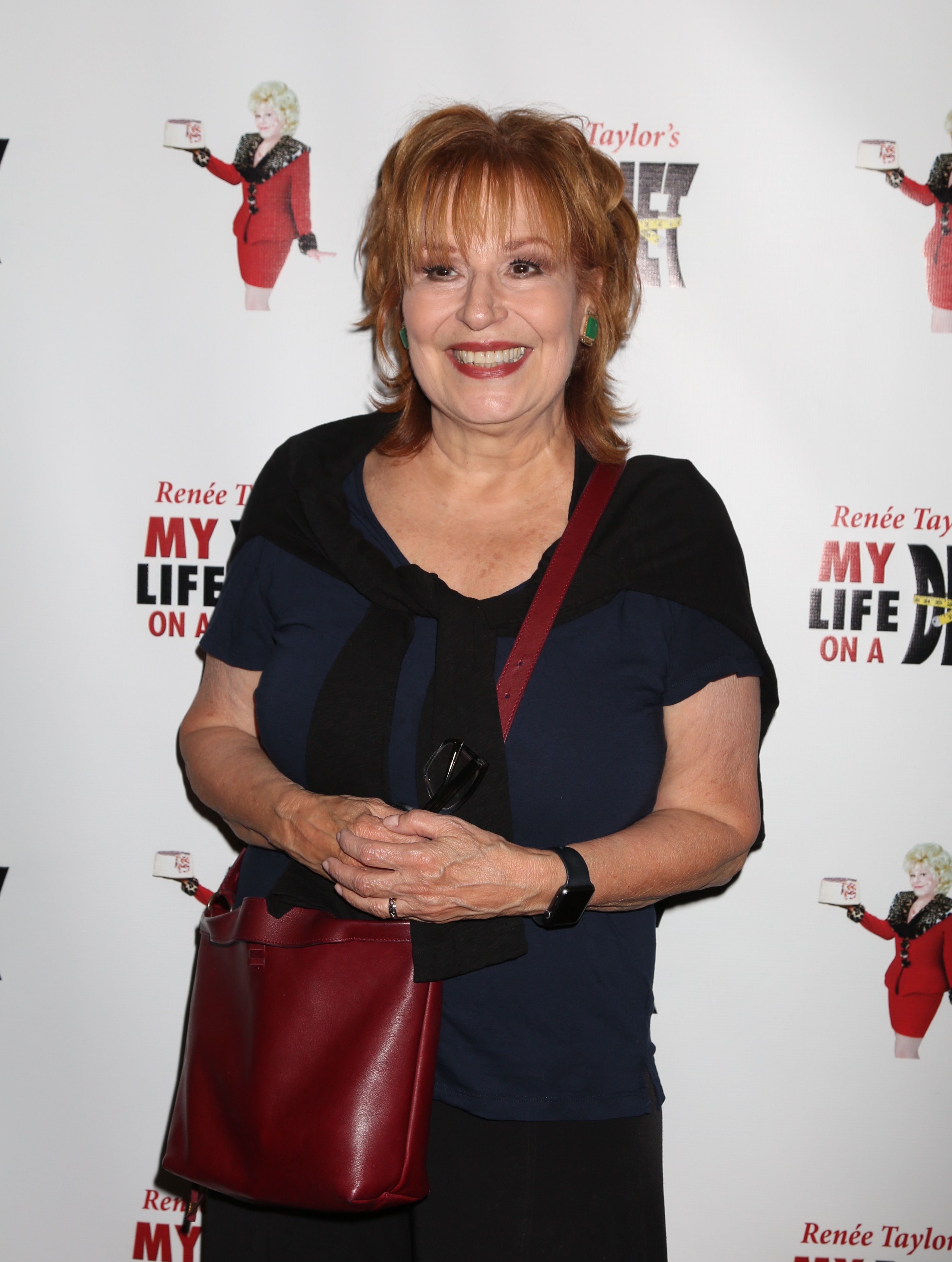 A Harsh Comment On The View From The Hosts Caused The Show To Lose Five Major Advertisers