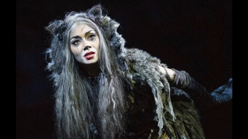 Unprofessional Behavior Might Have Prevented Nicole Scherzinger From ...