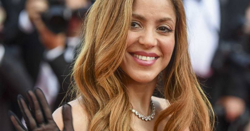 "Hips Don't Lie" Made Shakira Famous, But Which Of Her Songs Made Her ...