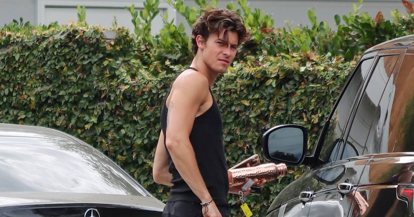Shawn Mendes Has A Massive Net Worth: Here's How Rich The Singer Really Is