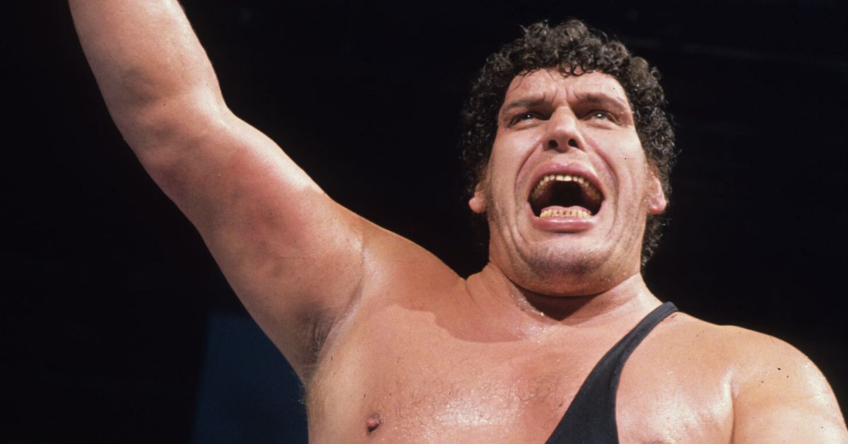 Andre The Giant Hated 'Macho Man' Randy Savage For The Silliest Reason Ever