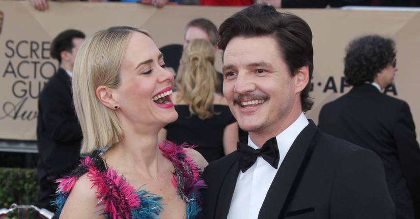 Pedro Pascal's Wife Isn't Sarah Paulson Despite Intense Fan Rumors, But ...