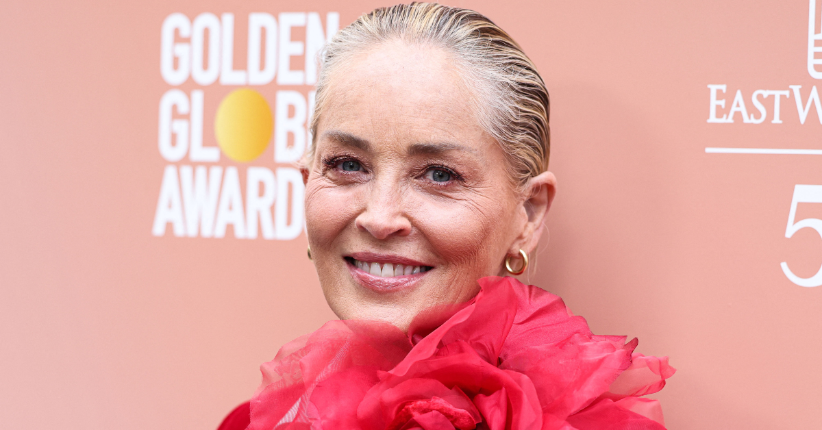 Every Sharon Stone Movie That Made Over $100 Million