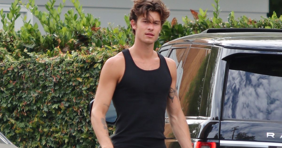Shawn Mendes' Love Life Is More Complicated Than It Seems Post Camilla ...