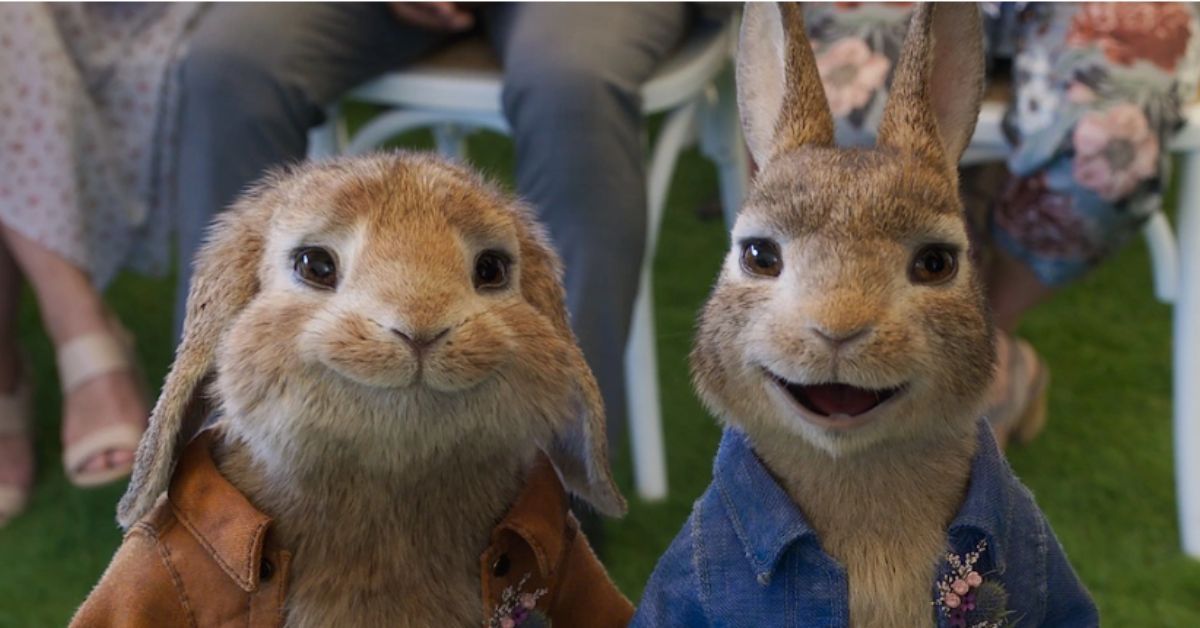 Every Margot Robbie Movie That Made Over $100 Million