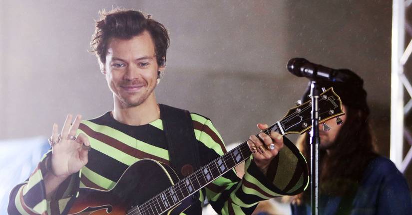 Harry Styles May Spend A Fortune On His Ripped Body, The Truth About ...