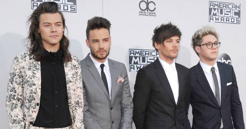 One Direction Was The Target Of Multiple Lawsuits, Here's The Real ...