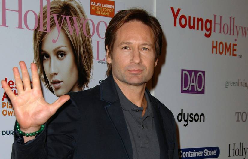 David Duchovny's Career Would Have Looked Very Different If He Landed A Role In This Sitcom