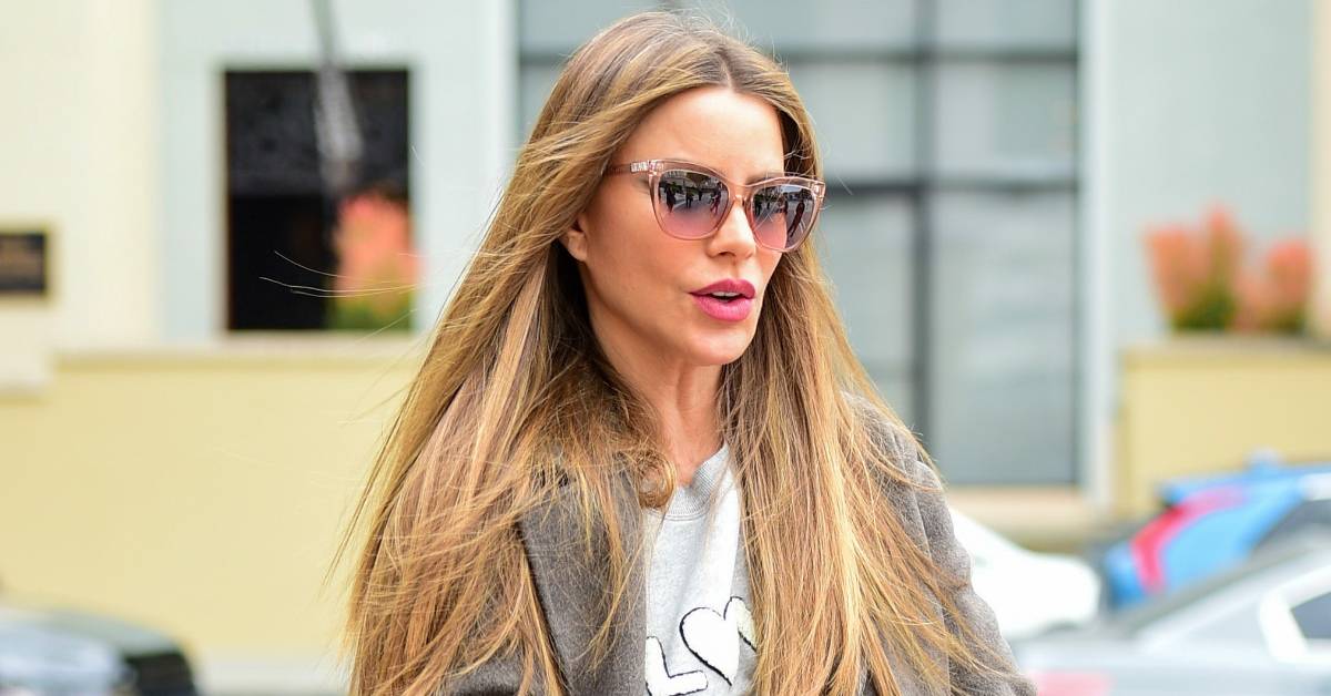 After Sofia Vergara's Ex Lost His Lawsuit Over Their Embryos, Someone ...