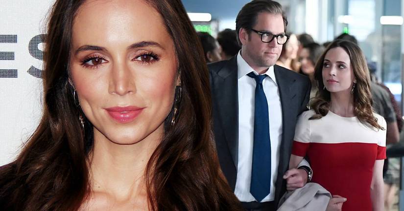 Did Eliza Dushku's Accusations Against Michael Weatherly Cause Her To ...