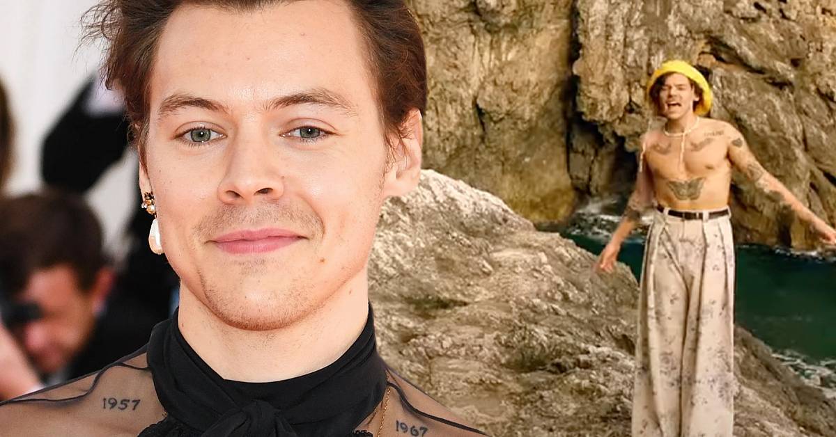 Harry Styles May Spend A Fortune On His Ripped Body, The Truth About ...