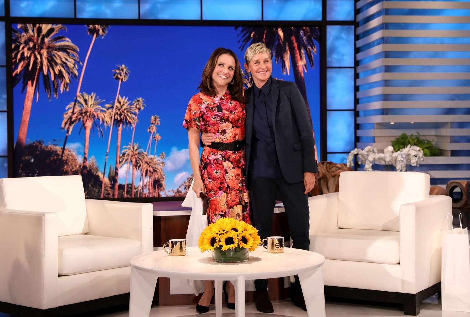 Julia Louis-Dreyfus Refuses To Do "The Elaine" Today (Unless It's For ...