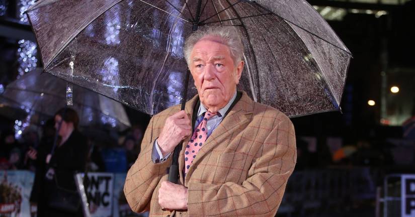 Michael Gambon's Medical Issues Plagued His Career Long Before His ...