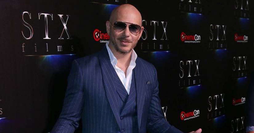 How Pitbull Amassed His Massive $100 Million Net Worth