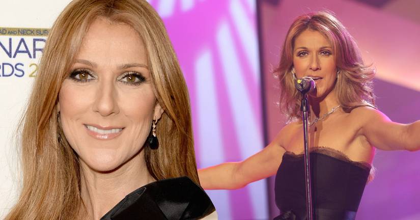 Barbra Streisand Slammed Vicious Reports Against Her In An Old ...