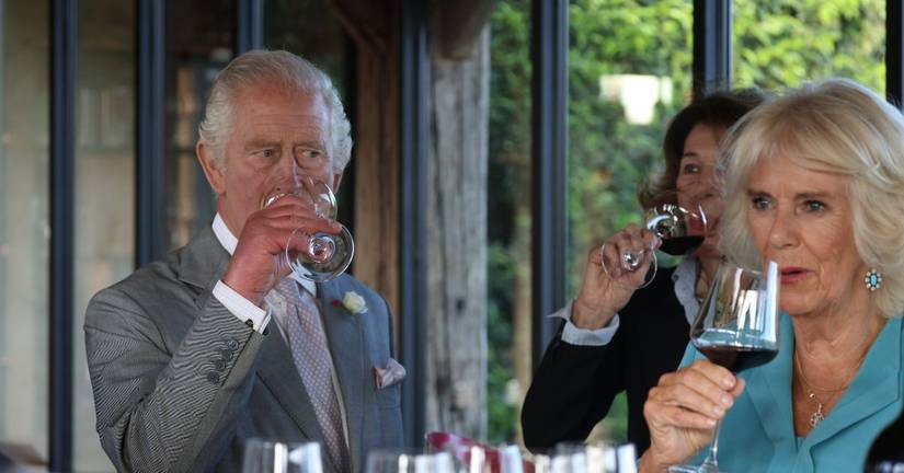 King Charles Once Broke Royal Protocol (And The Law) And Got A Security ...