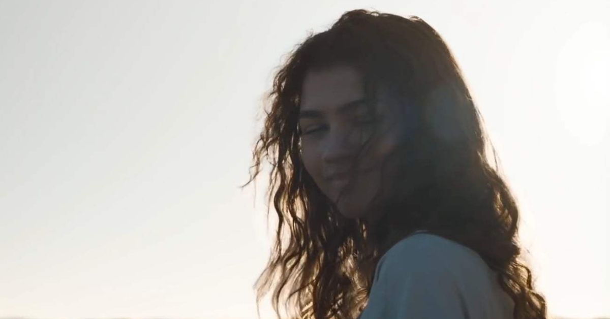 Zendaya's Movie And TV Show Salaries Have Increased Her Net Worth ...