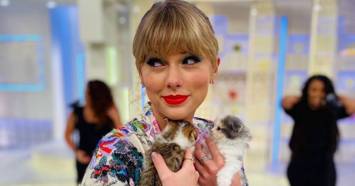 Do Taylor Swift's Cats Live A More Pampered Lifestyle Than Travis Kelce?