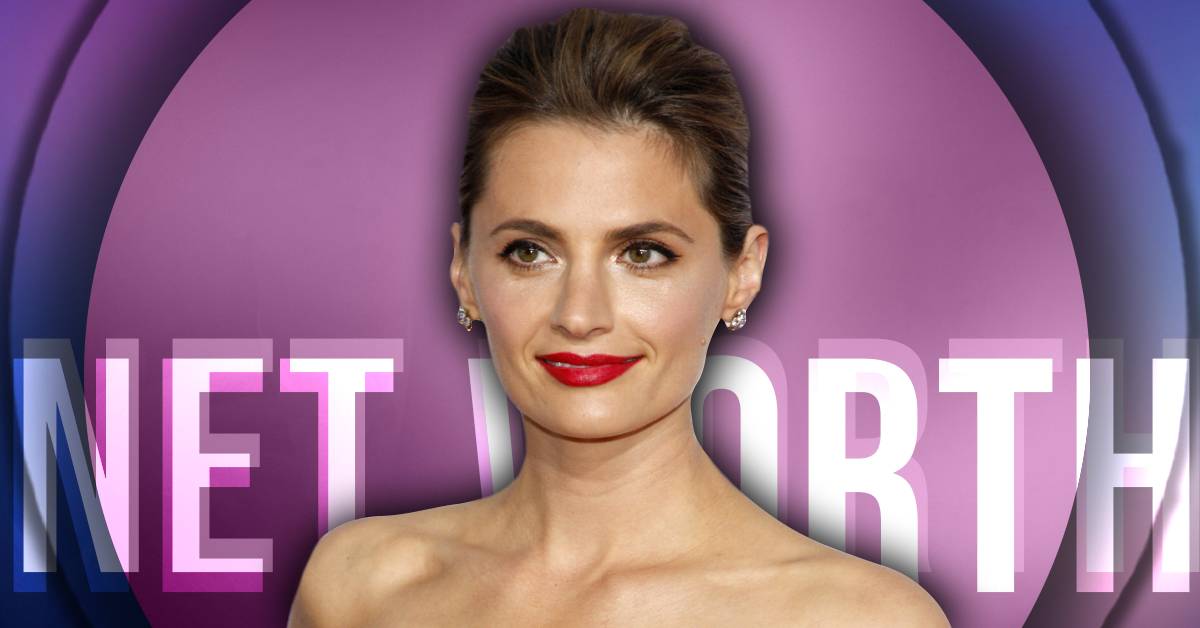 What Happened To Stana Katic's Net Worth After Leaving Castle?