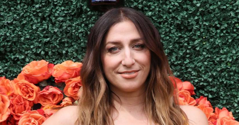 Chelsea Peretti Had A Crush On A Brooklyn Nine-Nine Co-Star And Did ...