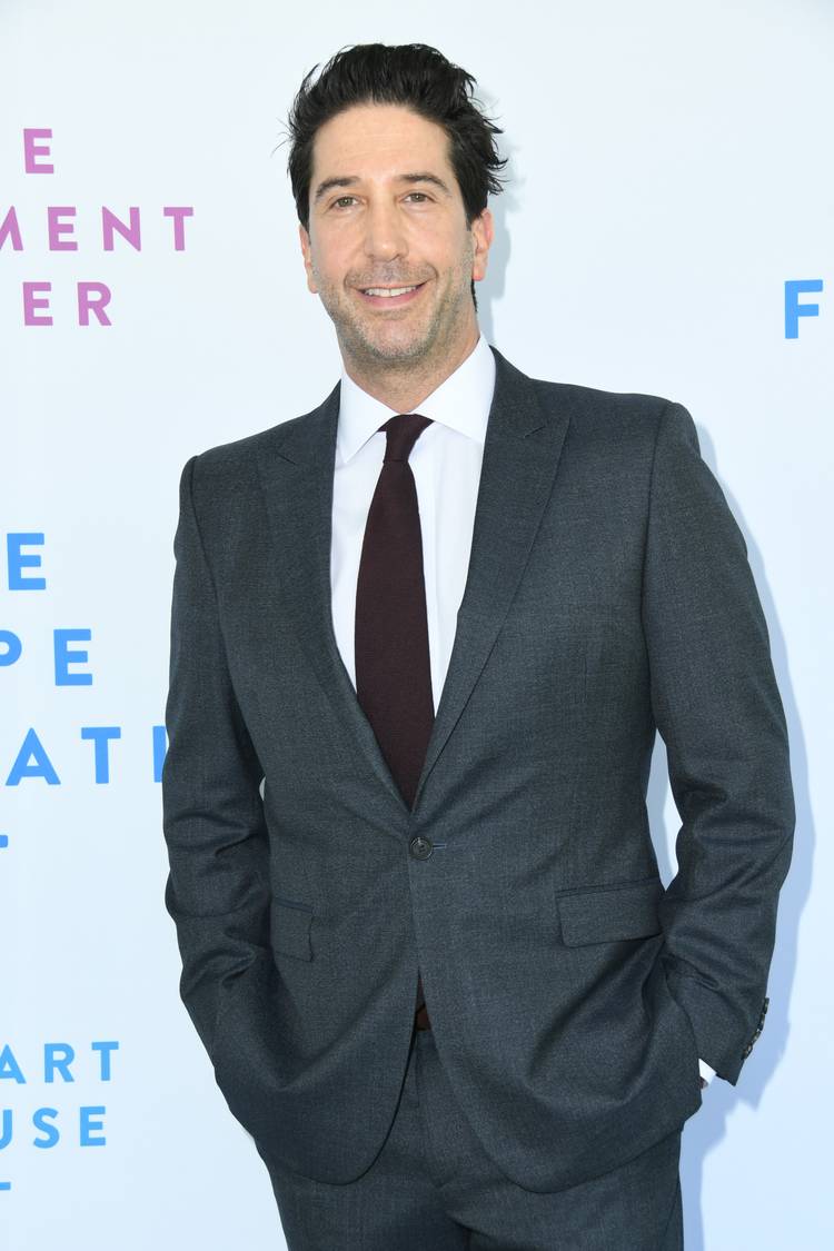 Slandering David Schwimmer's Name Was A Bad Idea And One That Cost ...