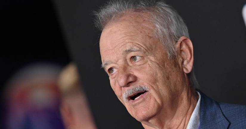 Fans Were Disappointed By Bill Murray After He Started Screaming During ...