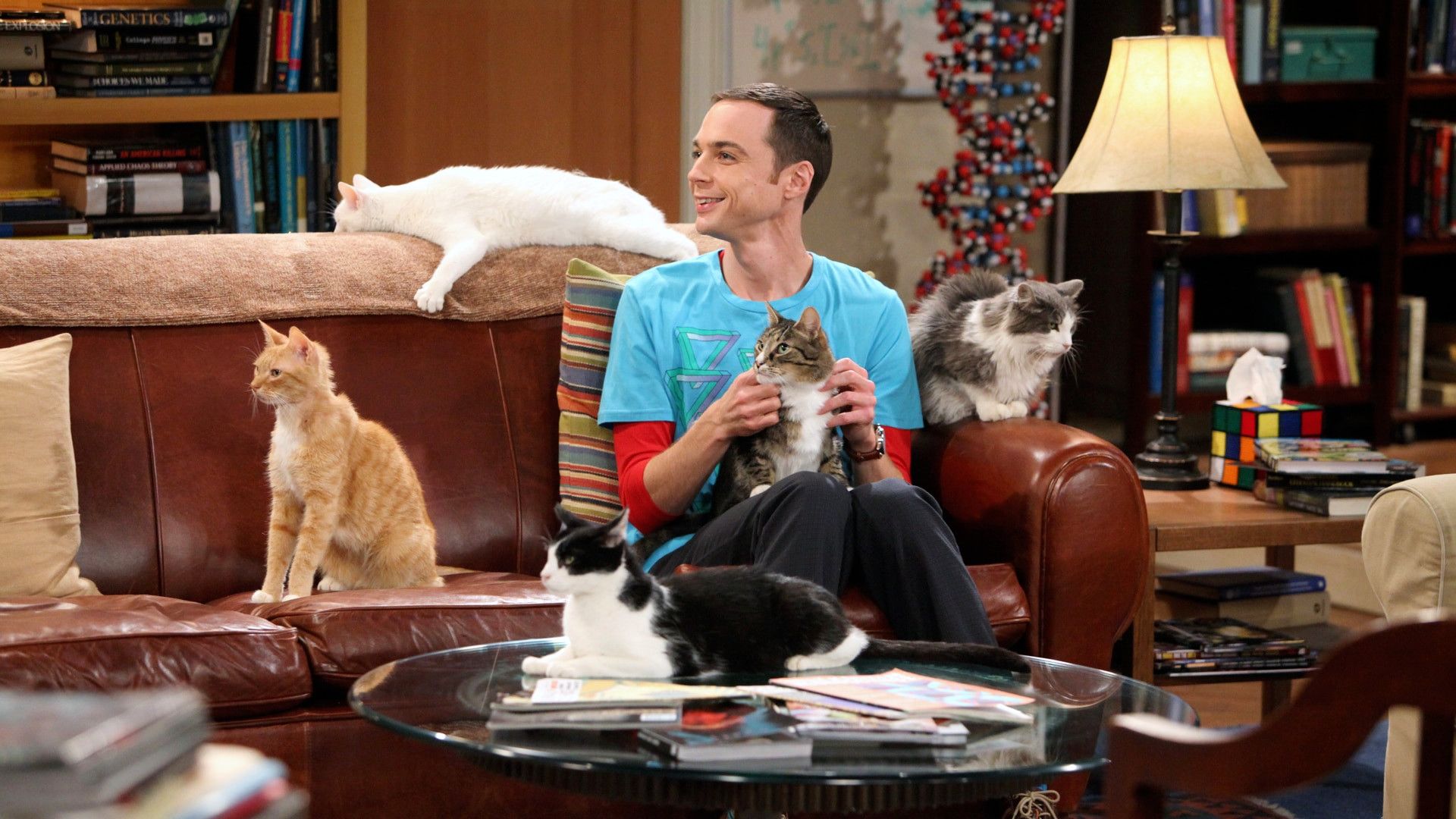 Sheldon Cooper and Jim Parsons Both Shared An Allergy, Until It Caused ...