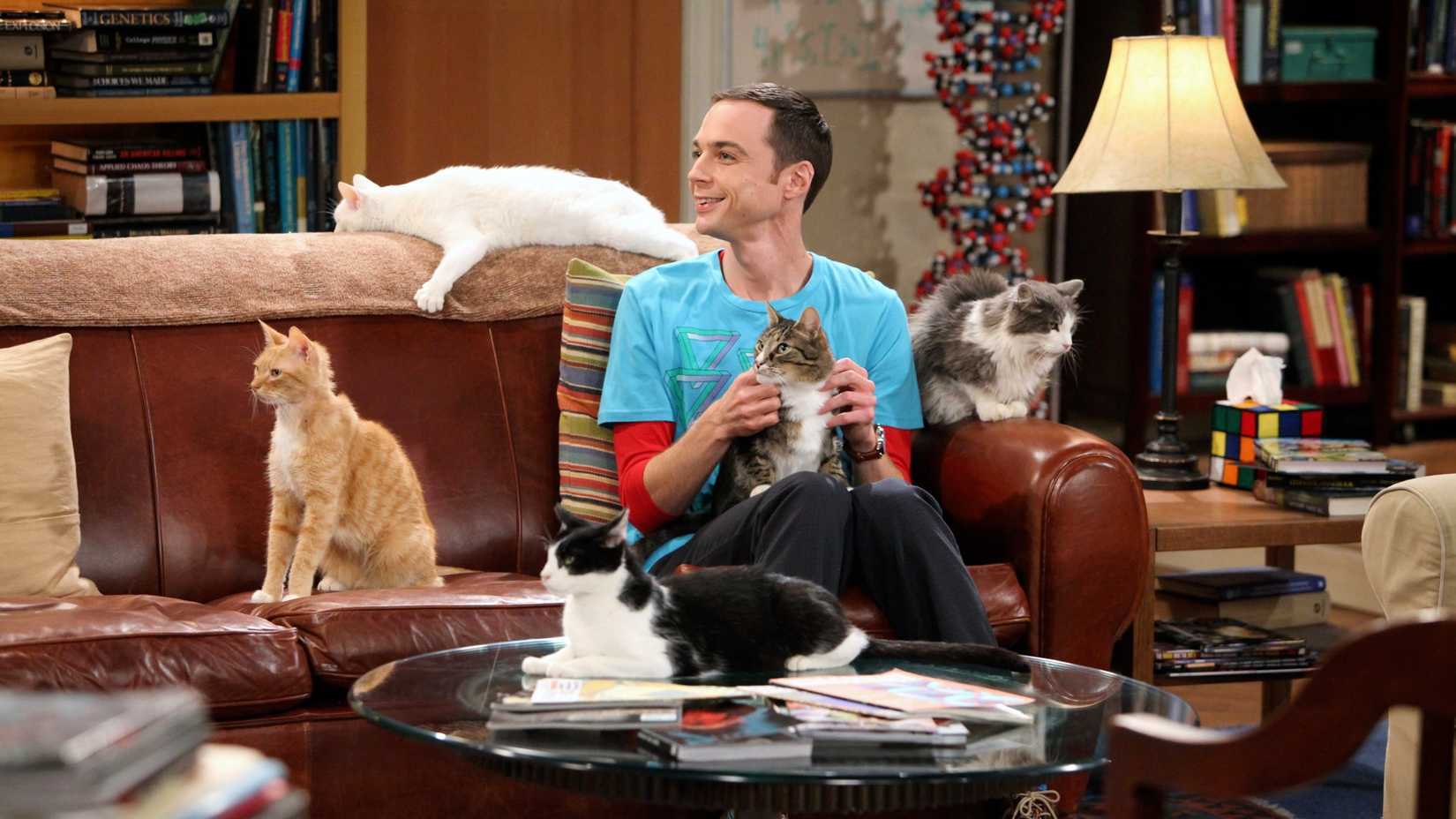 Sheldon Cooper Is Labeled As Selfish And Lacking Empathy, But That Isn ...