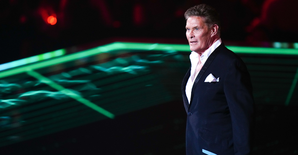 David Hasselhoff's Resume Has Been C-List Worthy Recently, But His ...