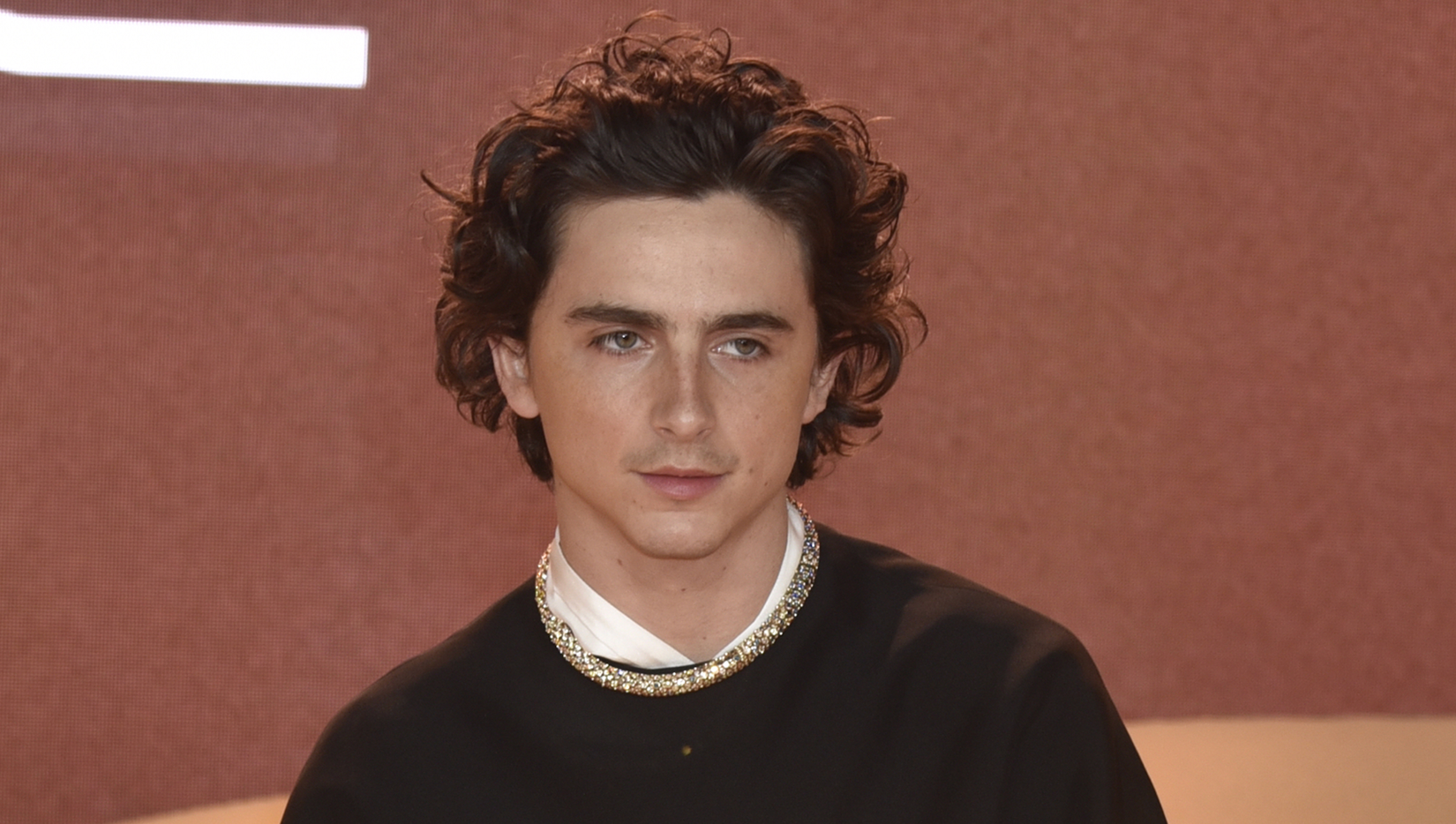 Kylie Jenner And Timothee Chalamet Enjoy Casual Date As Her Businesses Flop