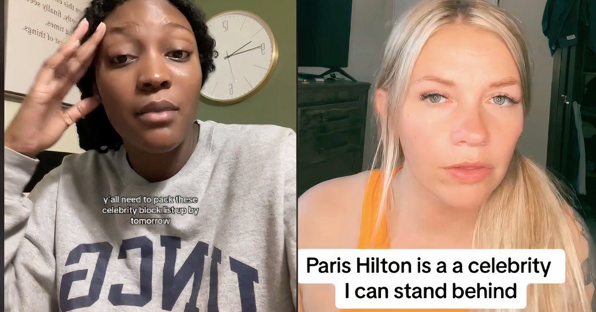 TikToker Makes A Compelling Argument For Why The Celebrity Block List ...