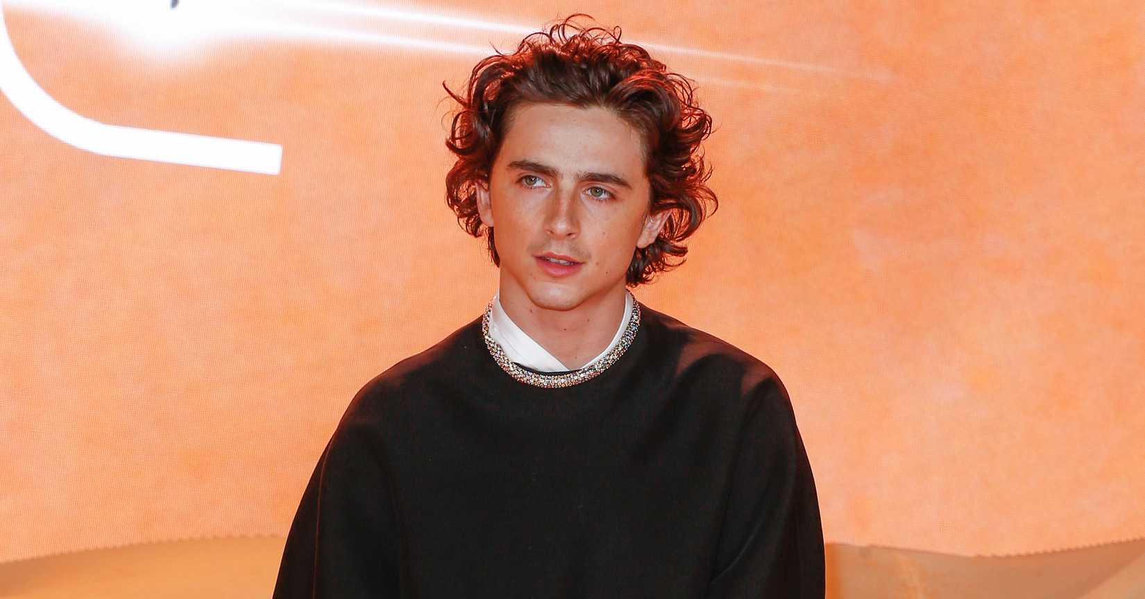 Timothée Chalamet Wasn't The First Actor Considered For The Bob Dylan ...