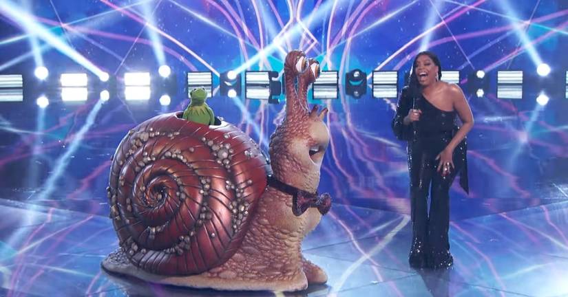The Masked Singer Contestants That Fooled Us And The Ones We Never Expected