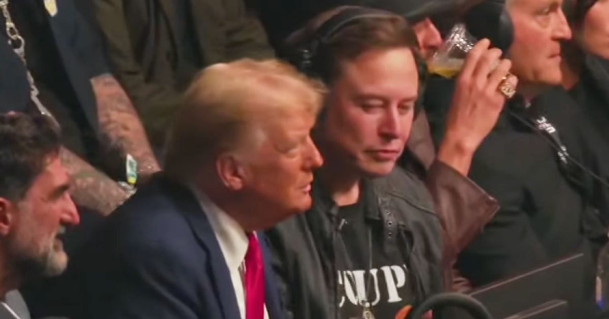 A Timeline Of Donald Trump And Elon Musk's Bromance
