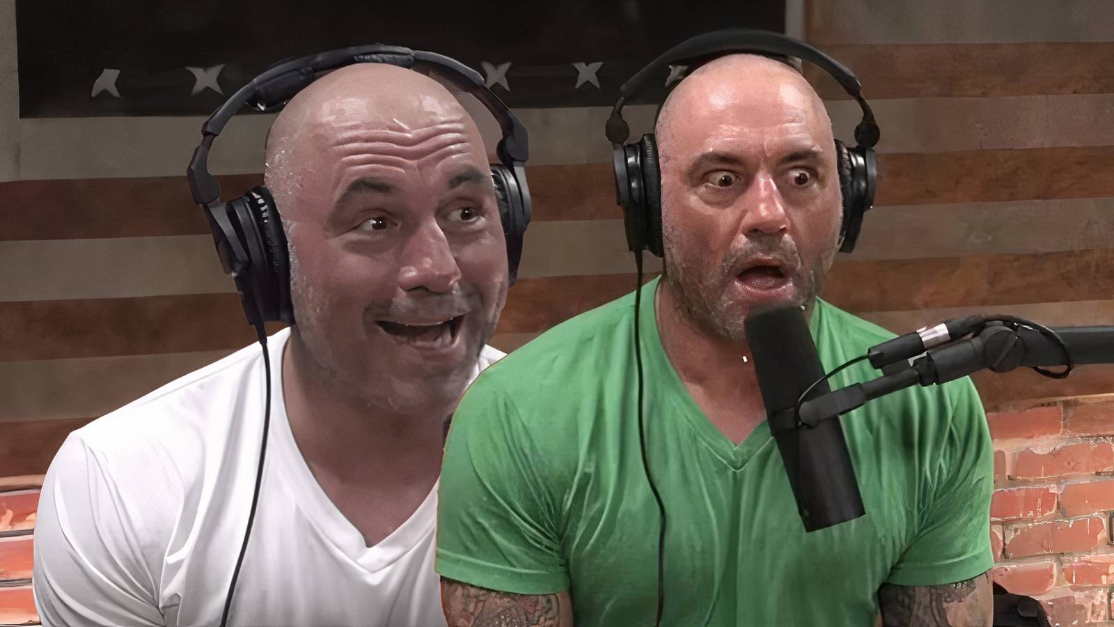 Joe Rogan Was Called Out For Accepting ‘Hateful’ Talk By A Successful ...