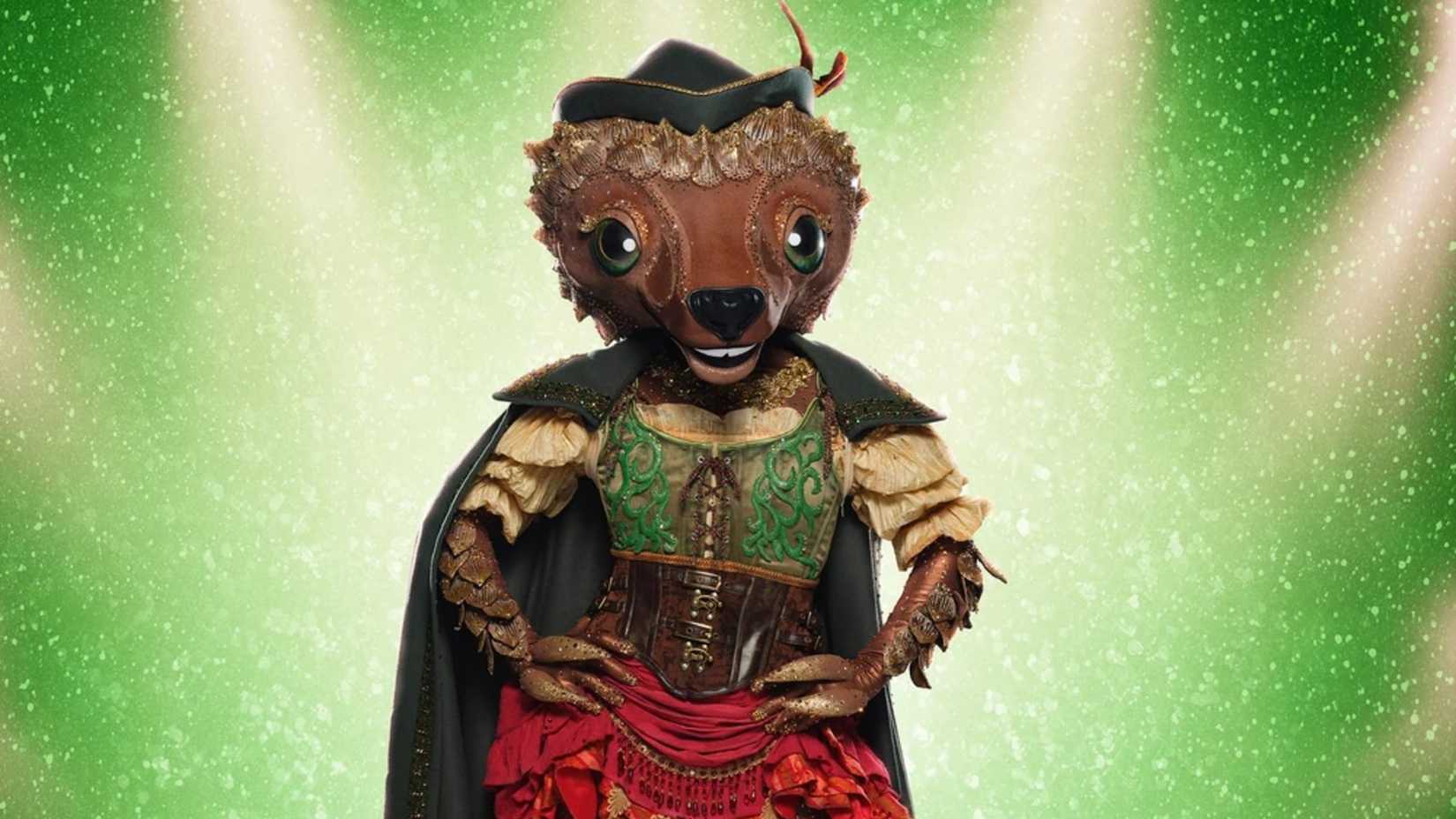 The Masked Singer Season 14 Reveals New Theme Night & Final Wild Card ...