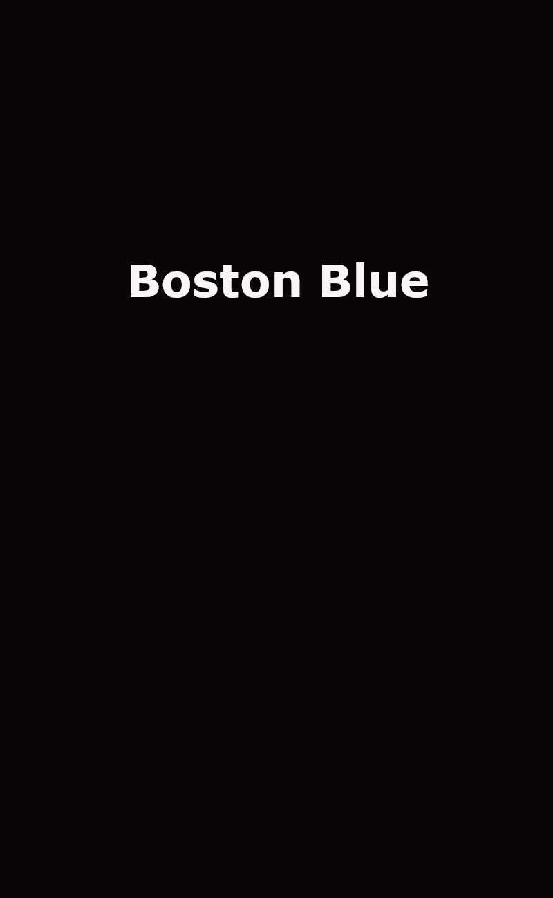 Everything To Know About The Blue Bloods Spin-Off, Boston Blue